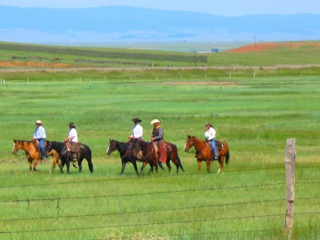 Texas Cowboys ~ Featuring: Curt - A Ranch Mom
