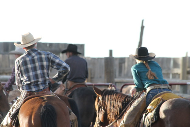 Ropin' Practice. - A Ranch Mom