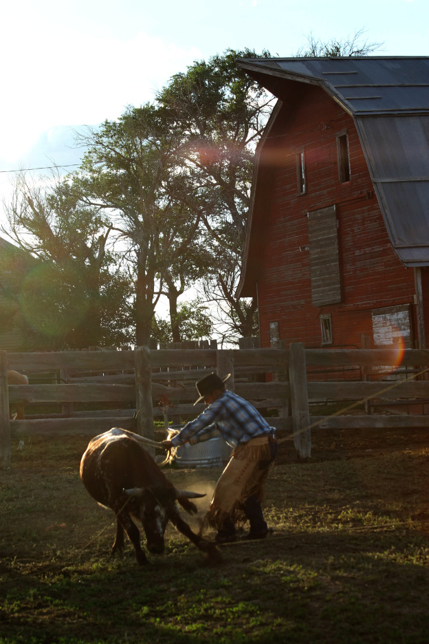 Ropin' Practice. - A Ranch Mom