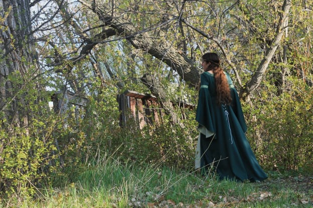 A Medieval Gown - A Ranch Mom