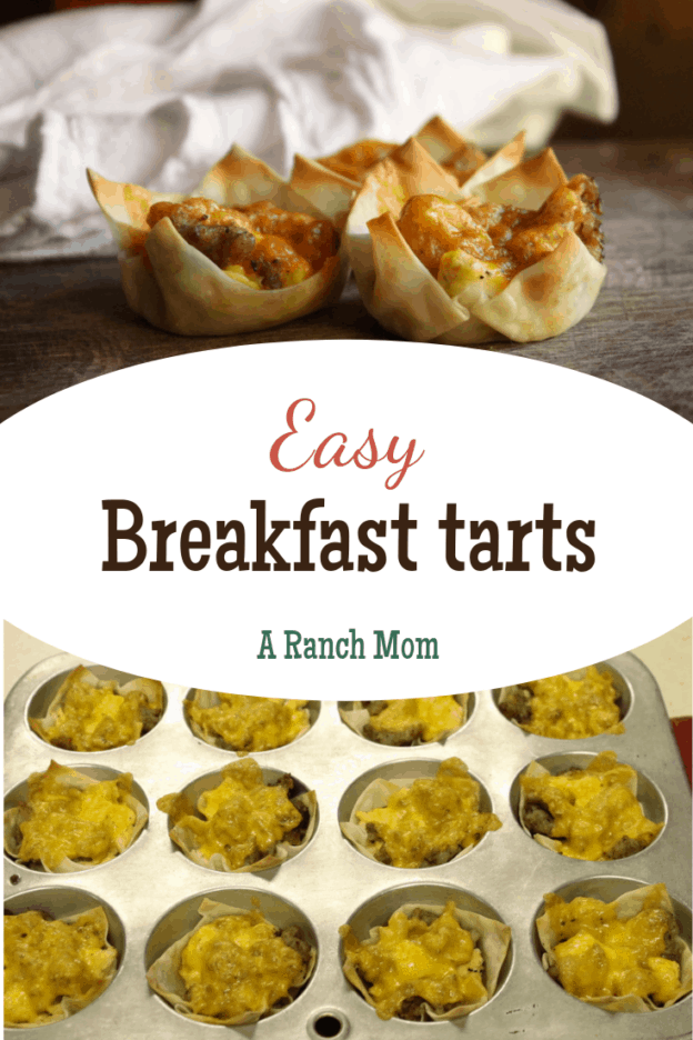 Easy Breakfast Tarts - A Ranch Mom