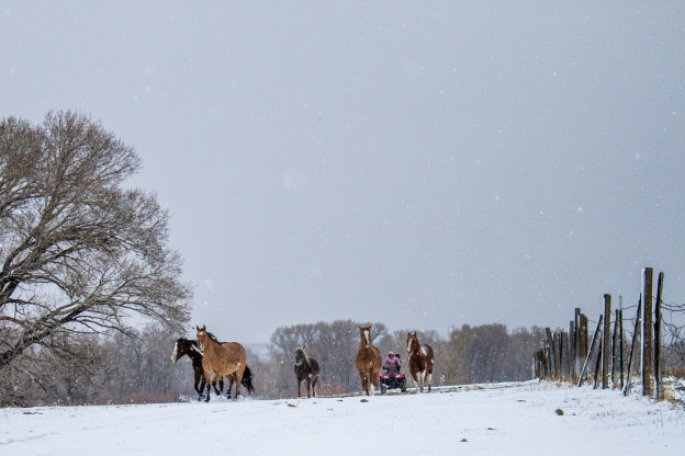 Two secrets to great photos, and some preg-checking. - A Ranch Mom