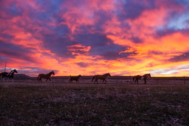 The Gift of Beauty. - A Ranch Mom