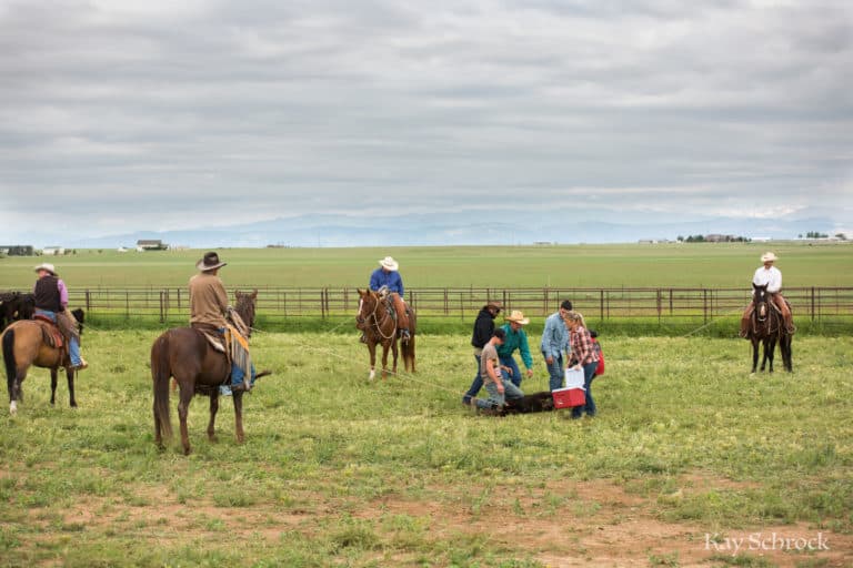 First branding of the year. - A Ranch Mom