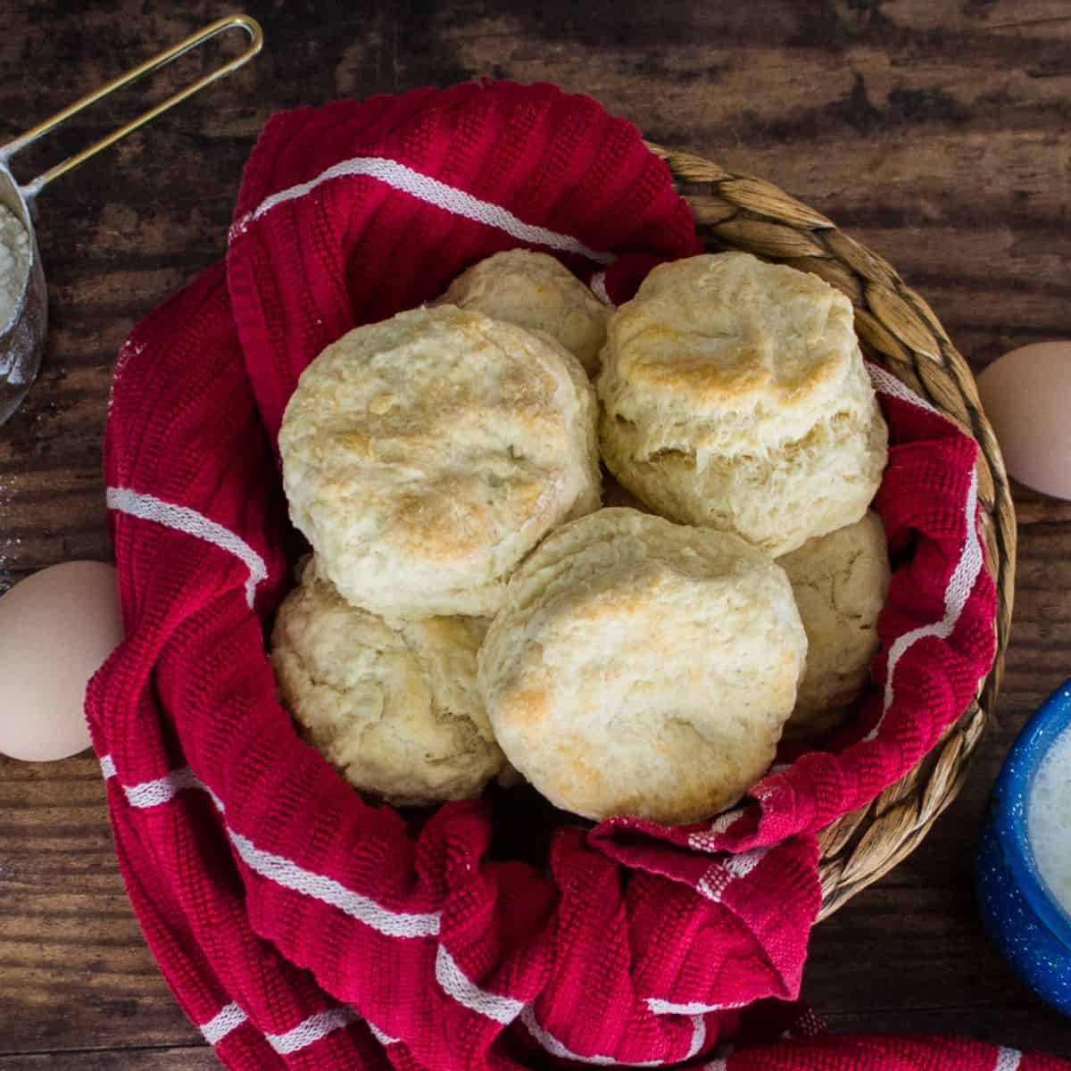 Flaky Biscuit Recipe - soft and delicious! - A Ranch Mom
