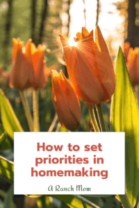 How to set your priorities in homemaking. - A Ranch Mom