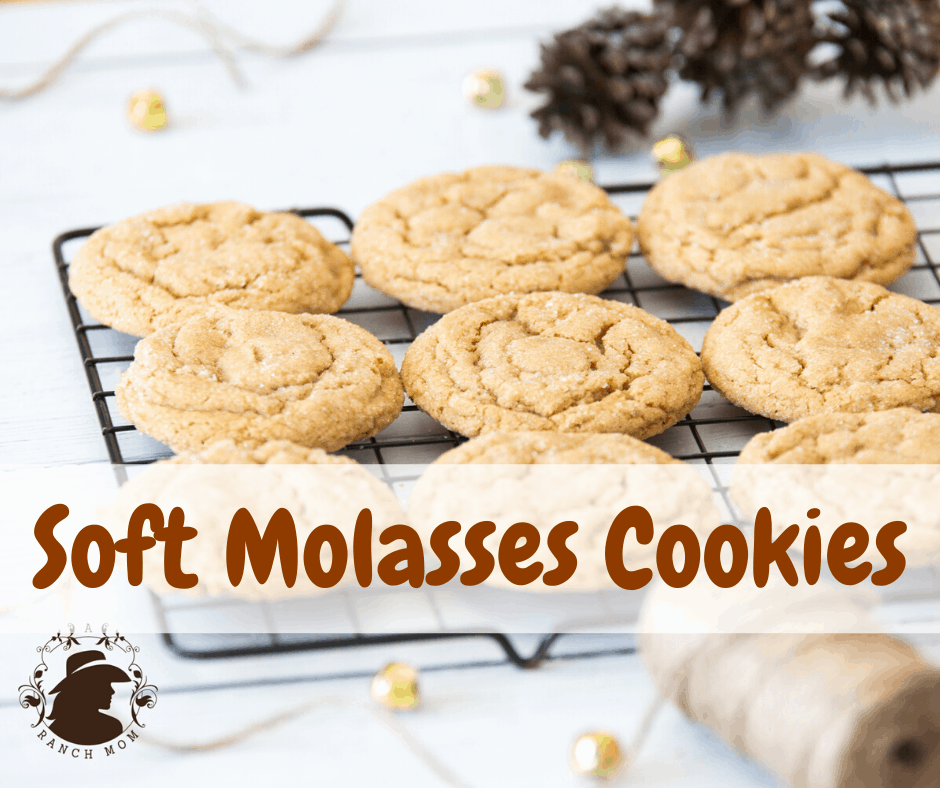 Old Fashioned Soft Molasses Cookies (Amish Recipe) - A Ranch Mom