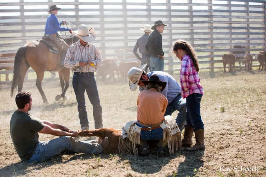 How to be a Cowgirl - A Ranch Mom