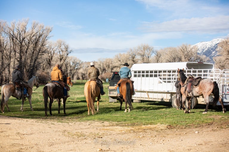 Spring Processing On The Ranch - A Ranch Mom
