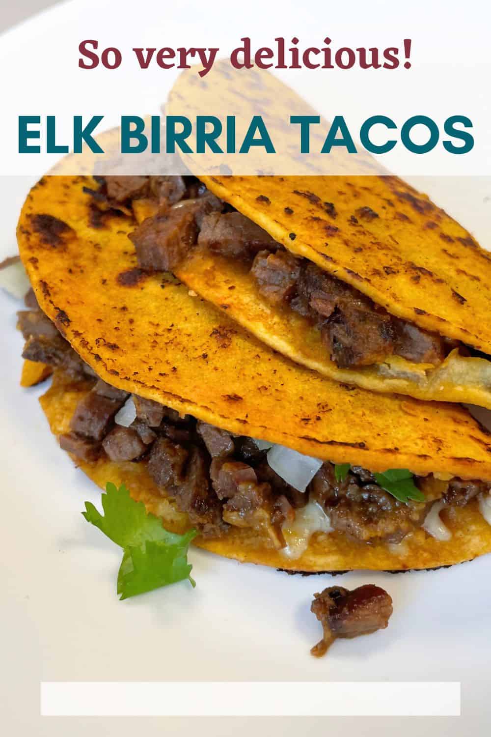 Elk Birria Tacos - A Ranch Mom