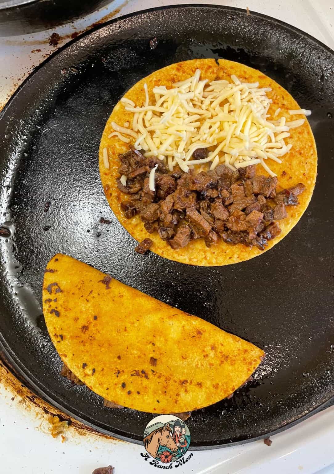 Elk Birria Tacos - A Ranch Mom