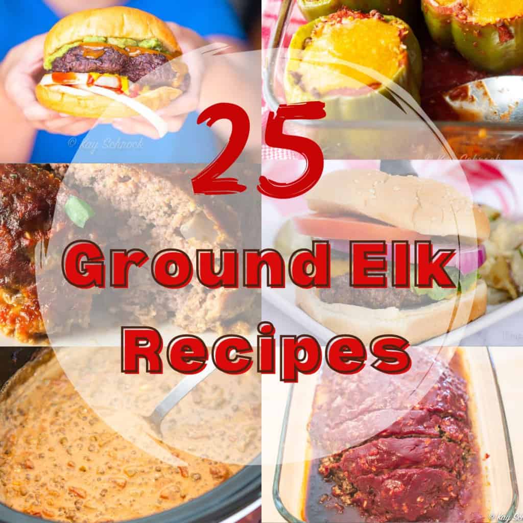 Delicious Elk Medallions Recipe (in Cast Iron Skillet) - A Ranch Mom