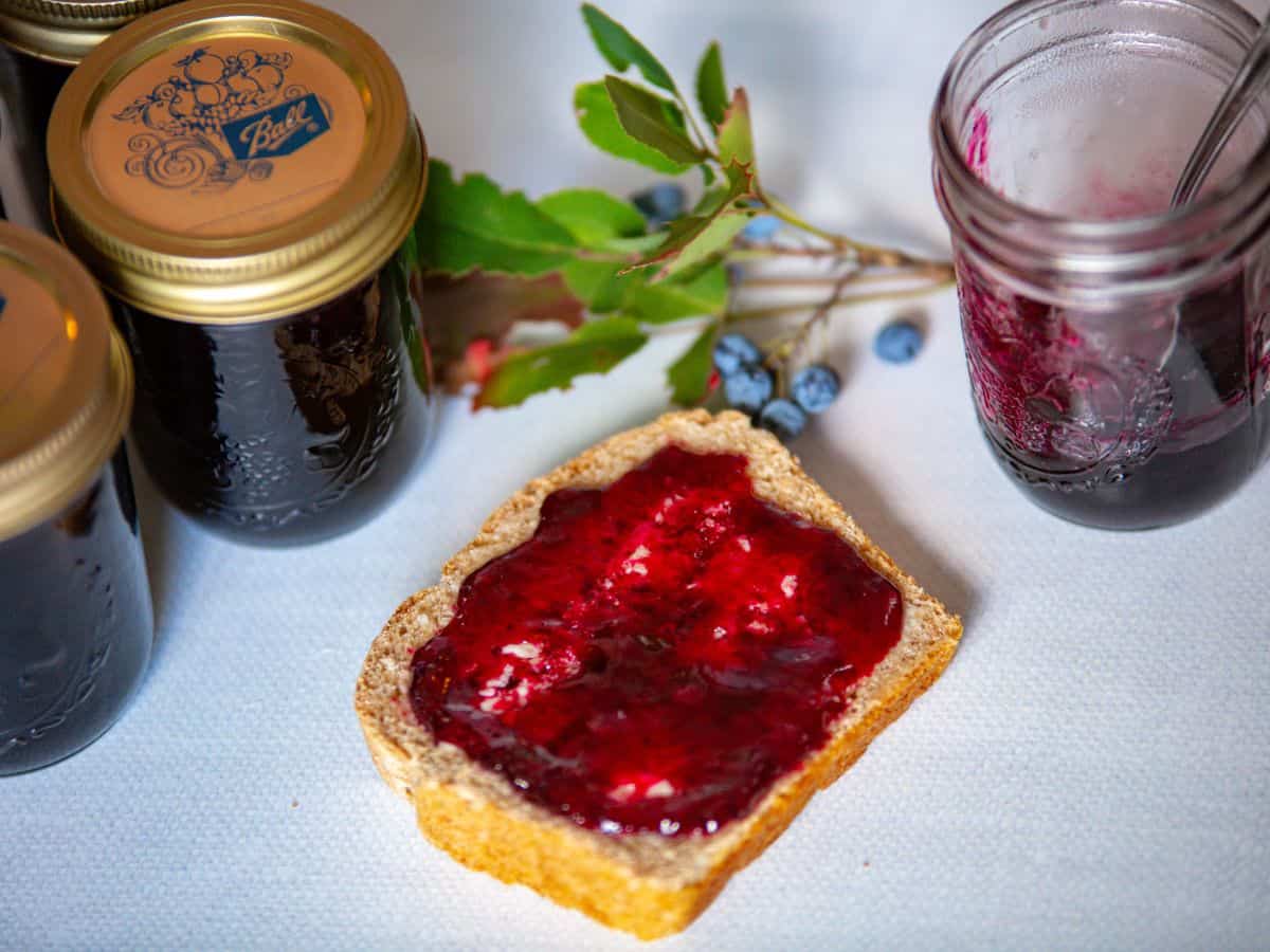 Oregon Grape Jelly Recipe - A Ranch Mom